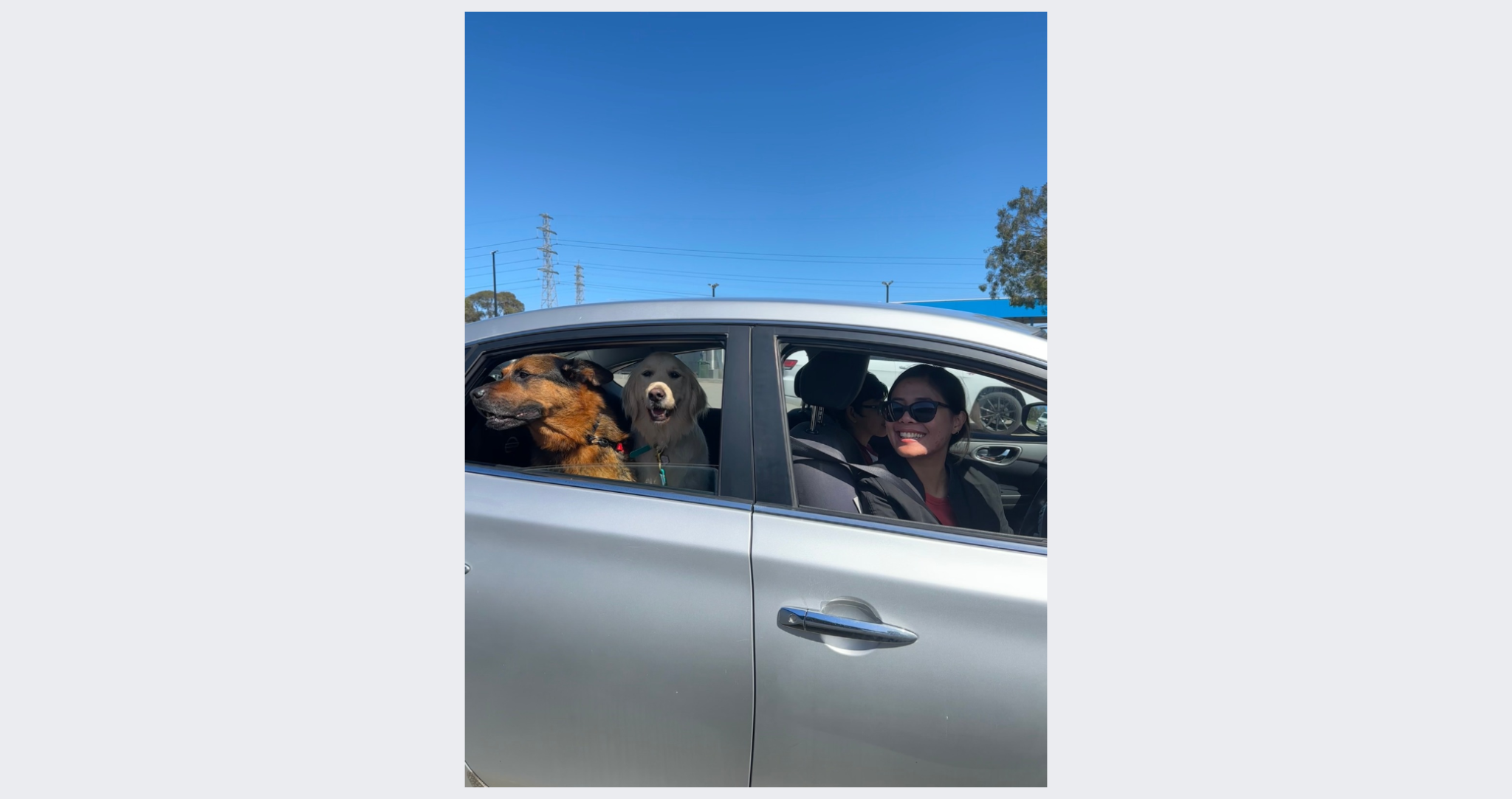 Meet our new OT, Charlaine! - Dee Wardrop